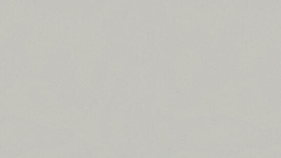 Ground LIGHT GREY Acczent Platinium 100 多层复合PVC地板